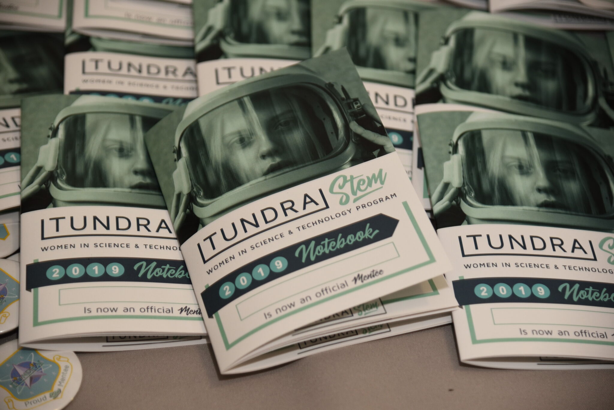 Tundra STEM